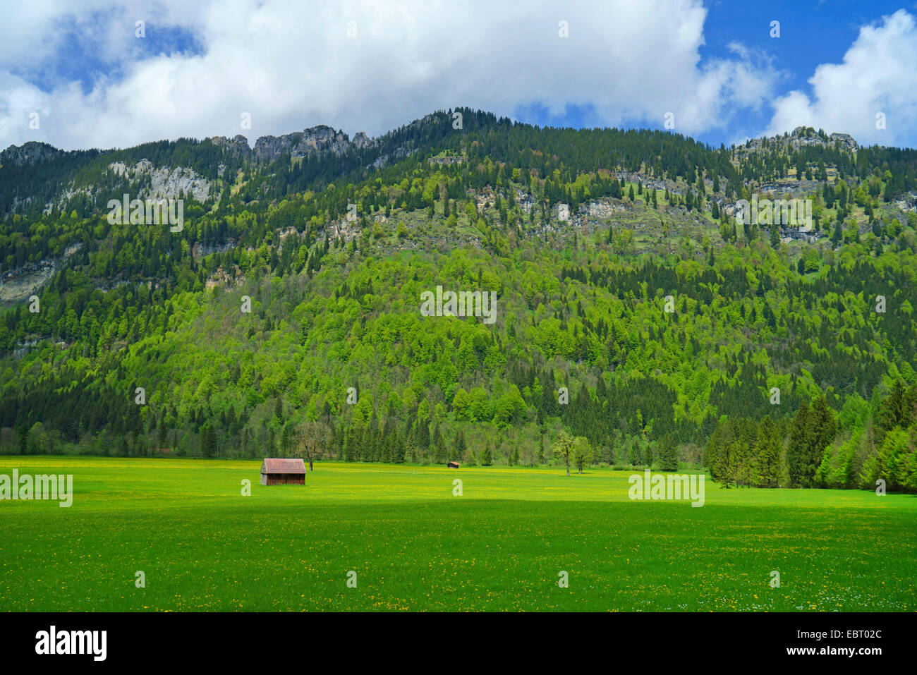 Nature biotope with meadow and ammergau alps hi-res stock photography ...