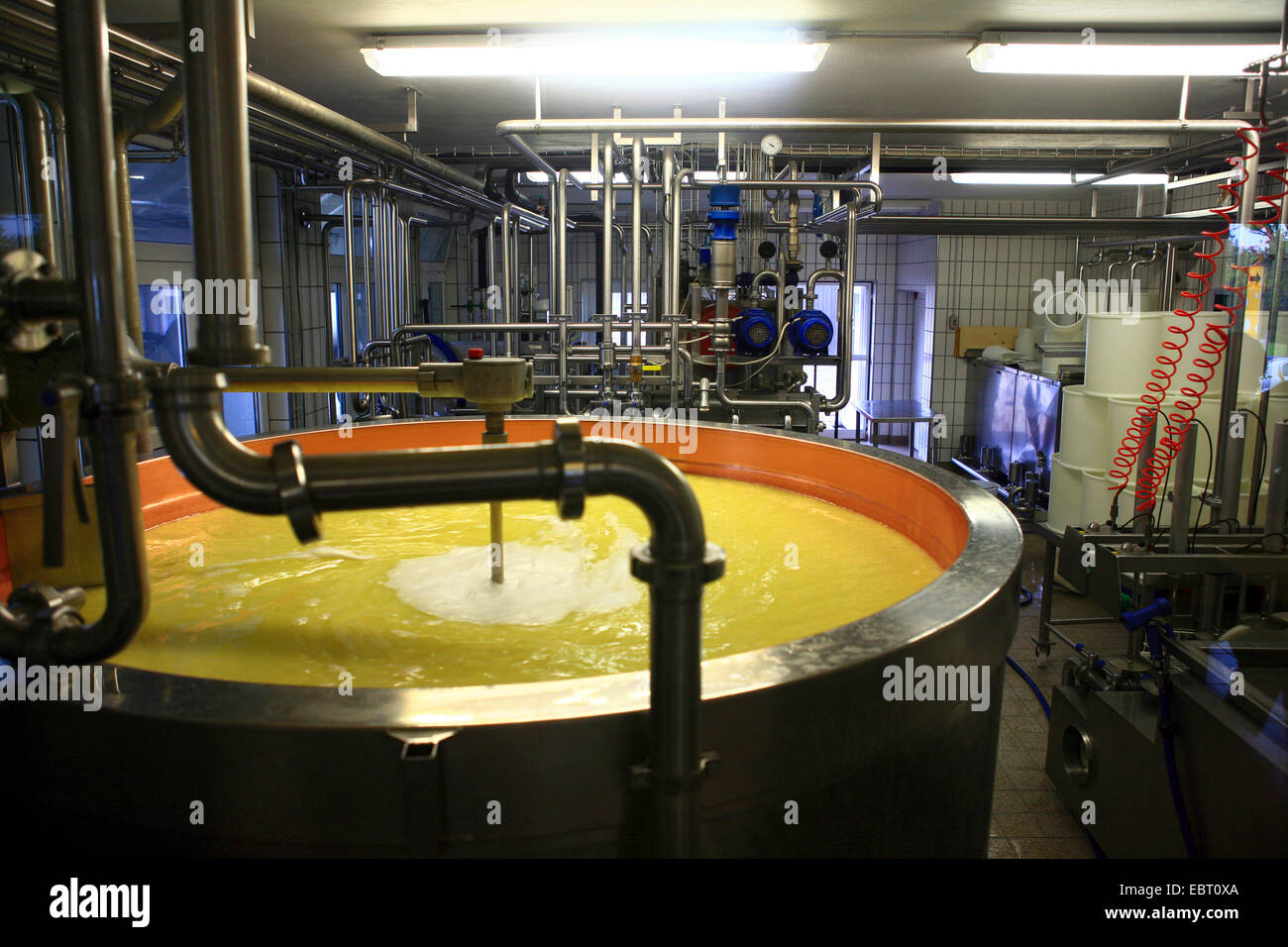 cheese production in an alpine dairy, Germany, Baden-Wuerttemberg, Isny ...