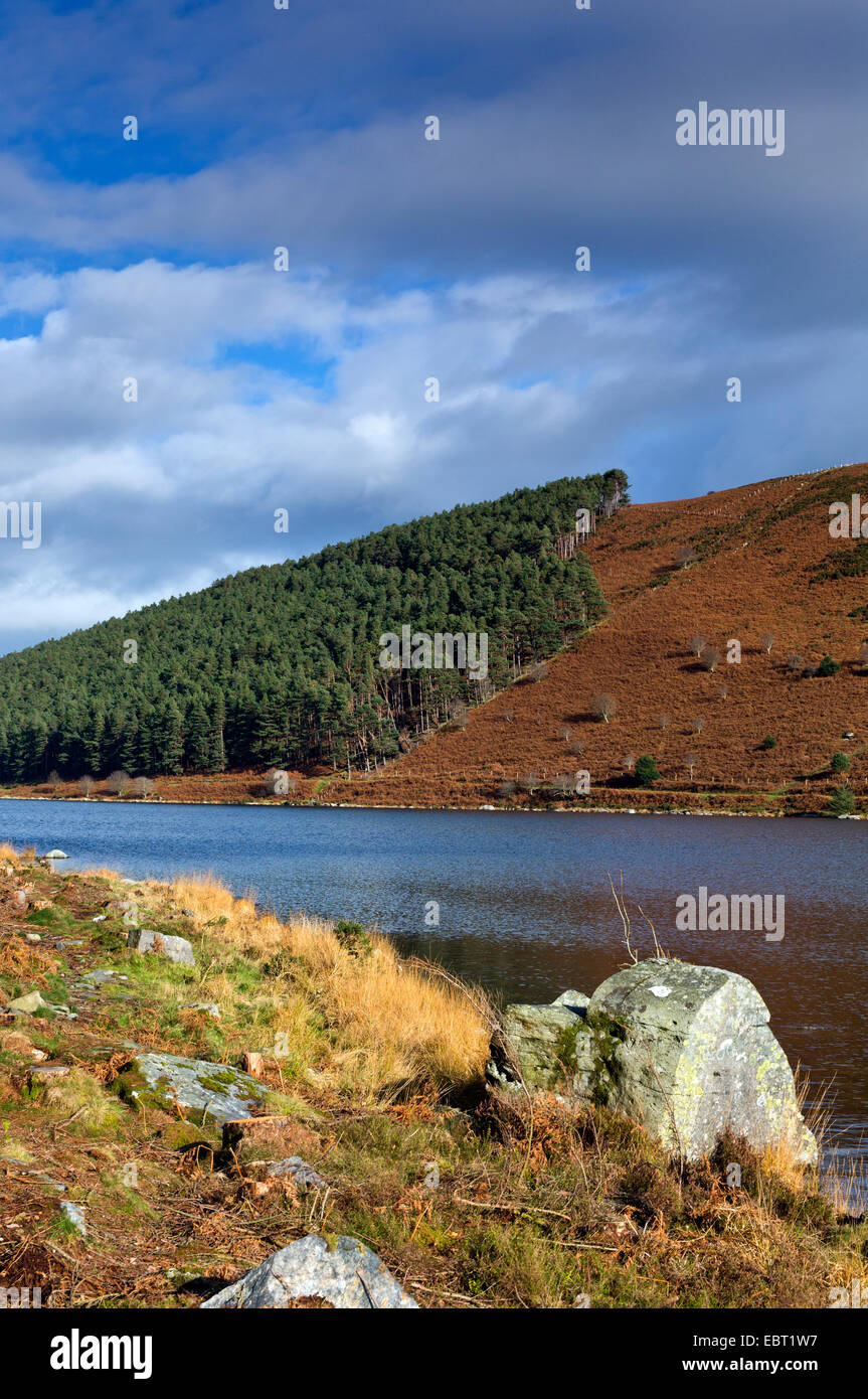 Llyn Geirionydd lake in autumn near Trefriw Snowdonia National Park ...