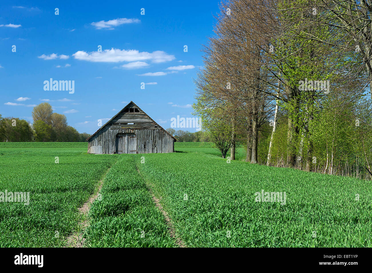 German barn hi-res stock photography and images - Alamy