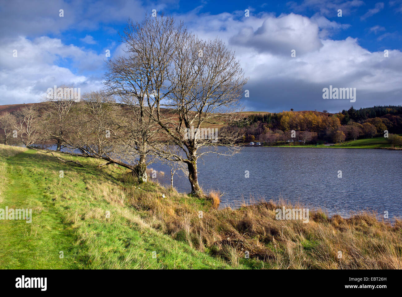 Llyn Geirionydd lake in autumn near Trefriw Snowdonia National Park ...