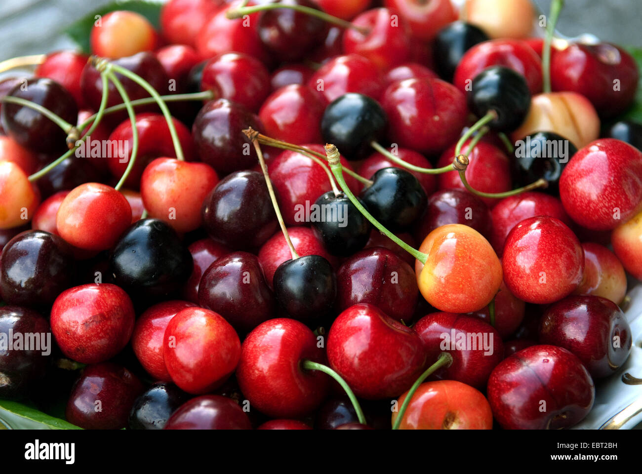 Immature cherries hi-res stock photography and images - Alamy
