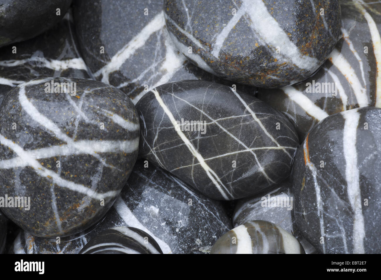 veined pebbles, Switzerland Stock Photo - Alamy