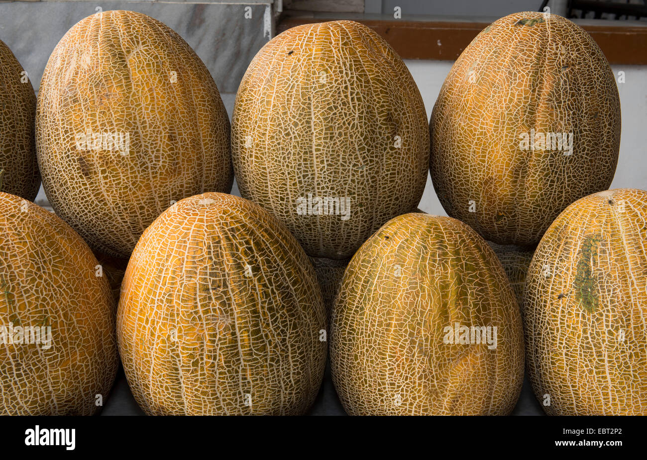 Melons in the bazaar, Samarkand, Uzbekistan, Asia Stock Photo - Alamy