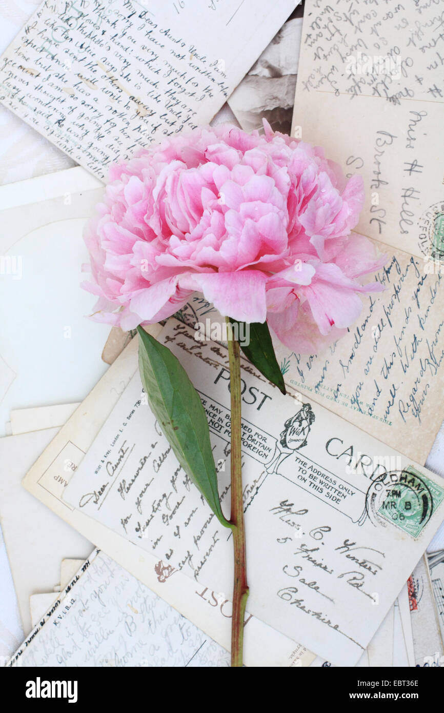 Old Postcards High Resolution Stock Photography and Images - Alamy