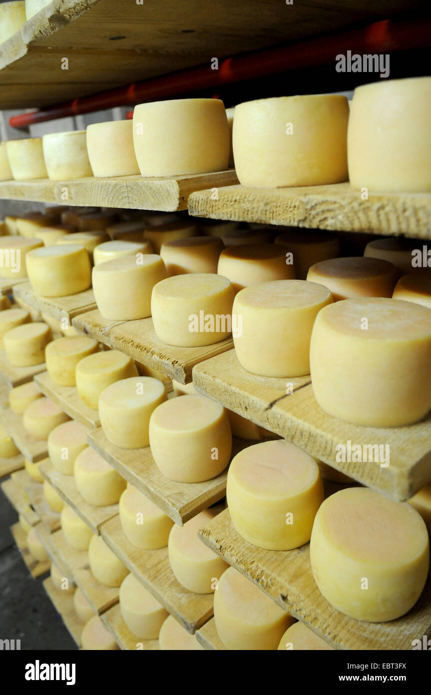 These are cheese racks in the refining. This is process of cheese cure ...