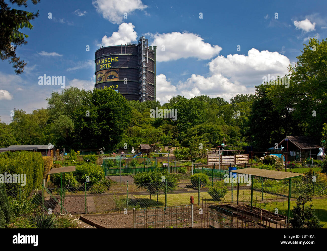 Allotment gardens hi-res stock photography and images - Alamy