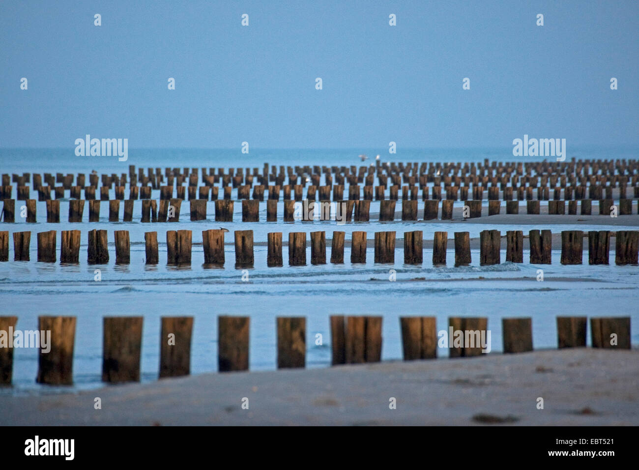 Baltic sea groynes hi-res stock photography and images - Alamy