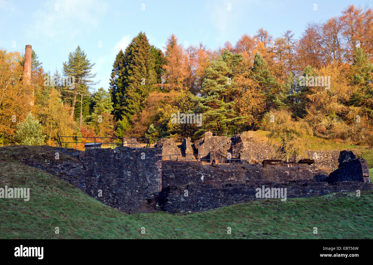 Walks autumn uk forest hi-res stock photography and images - Alamy