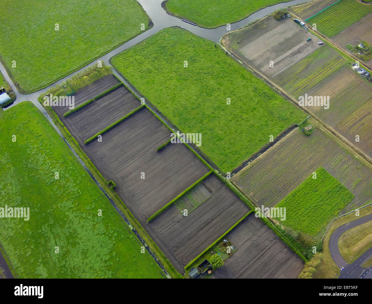 Dutch field hi-res stock photography and images - Alamy