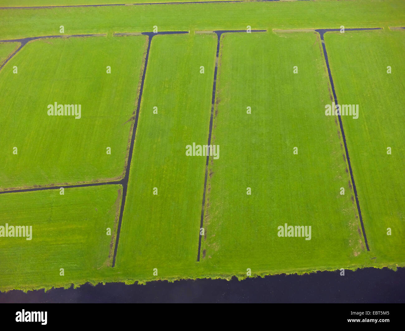 aerial view to typically Dutch field scenery, Netherlands, South ...