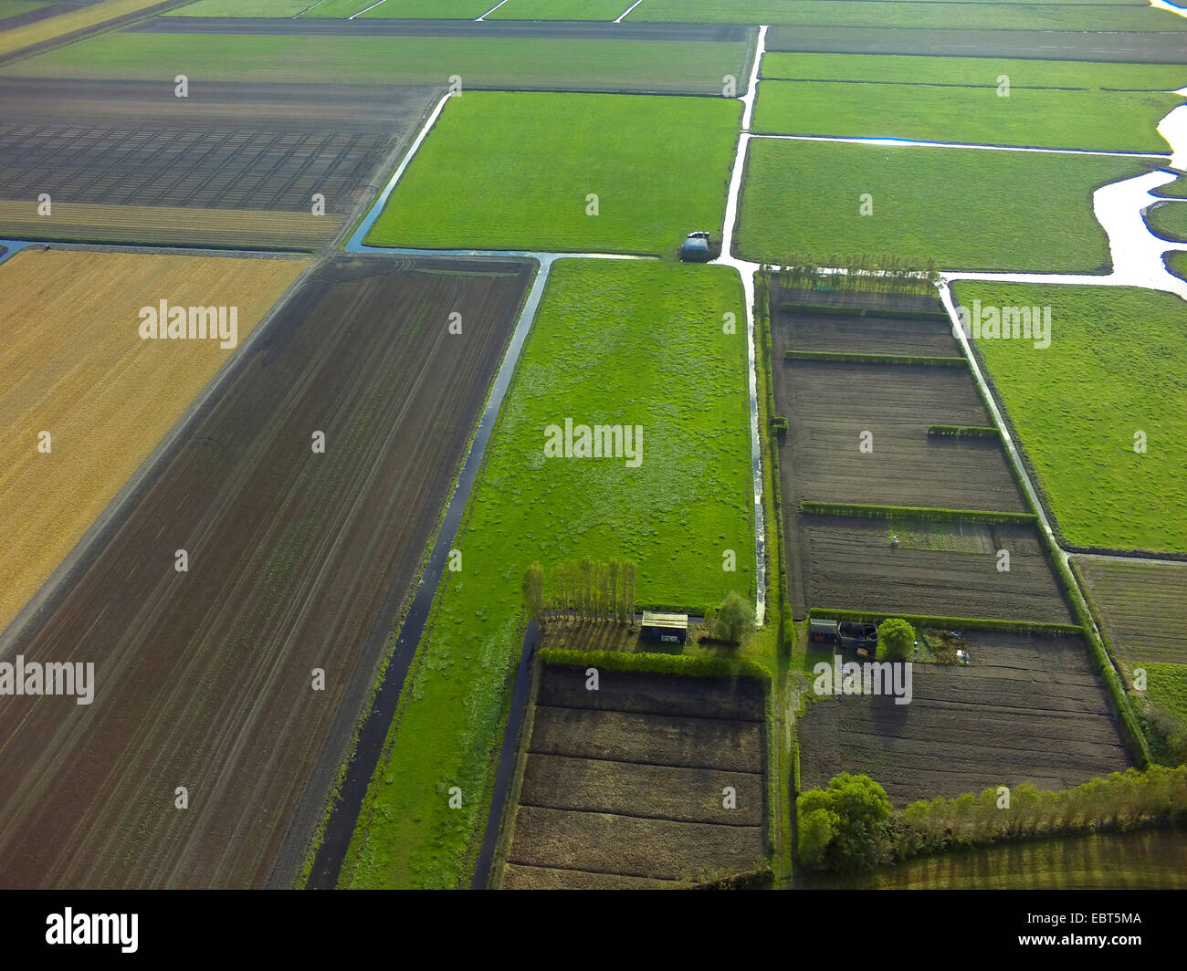 aerial view to typically Dutch field scenery, Netherlands, South ...
