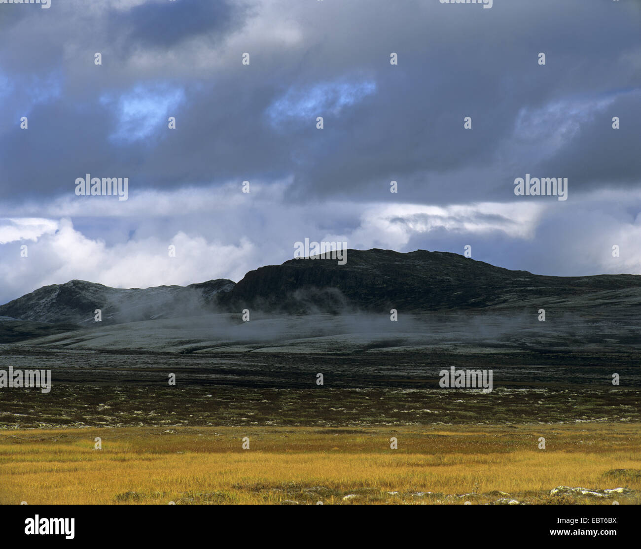 Fell landscape, Norway, Rondane National Park Stock Photo - Alamy