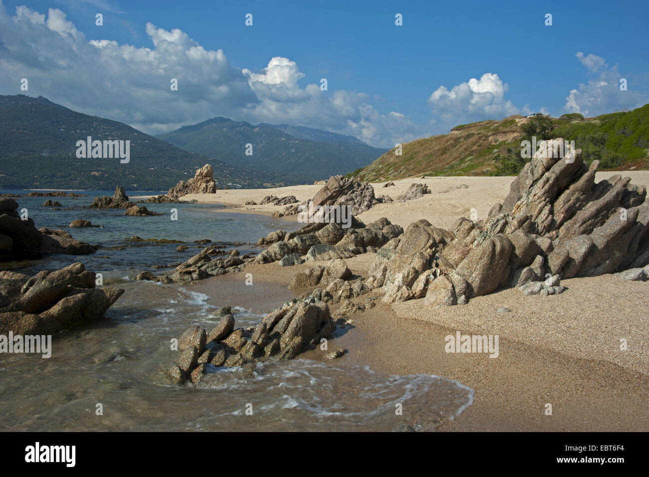 Laurosu hi-res stock photography and images - Alamy