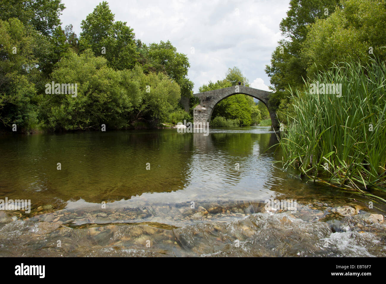Genoese bridge, Spin a Cavallu, France, Corsica Stock Photo - Alamy