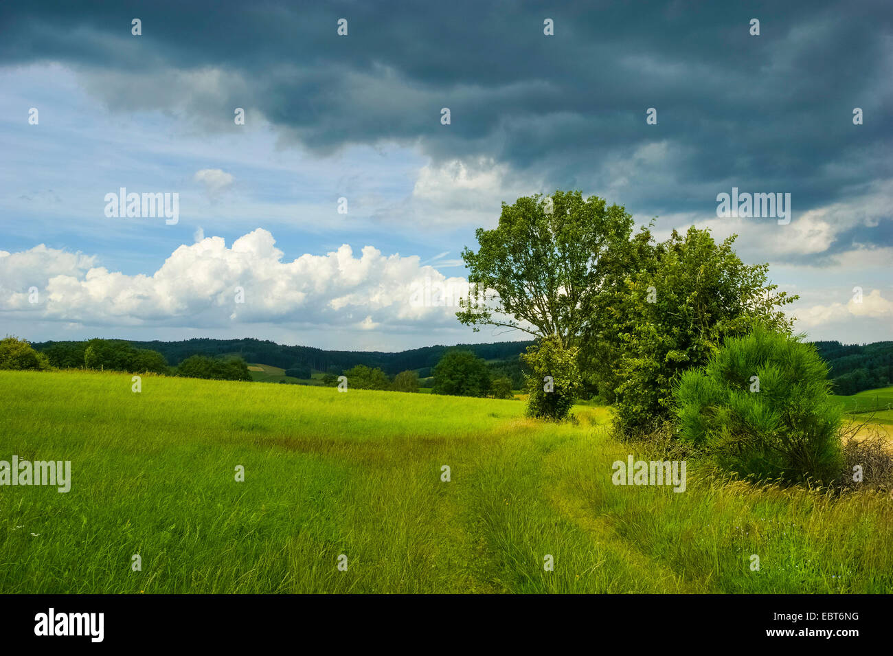 Weather april hi-res stock photography and images - Alamy