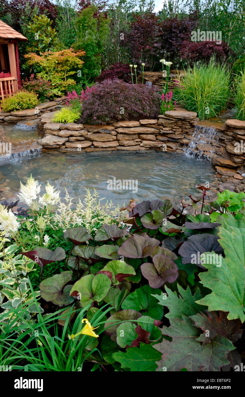 The pond area in a reflective aquatic garden with planted rockery and ...