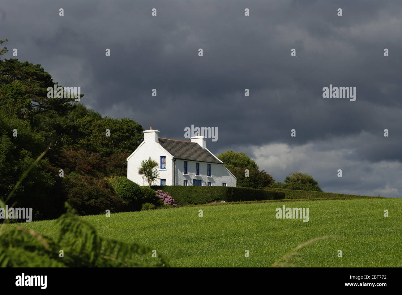Remote farmhouse in rural Ireland Stock Photo - Alamy