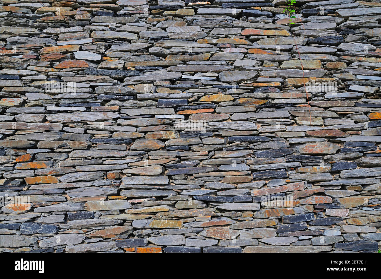 Slate Wall Texture