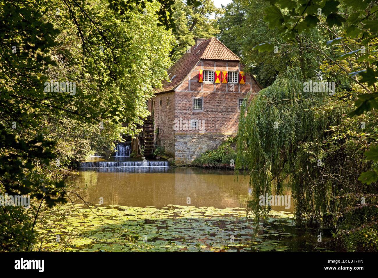 water mill near House Steinfurt, Germany, North Rhine-Westphalia ...
