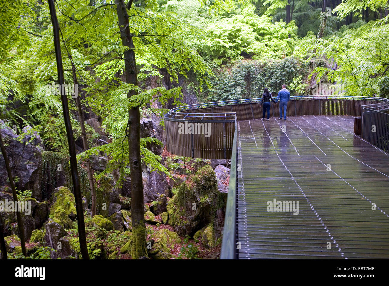 Viewing platform nature reserve hi-res stock photography and images - Alamy