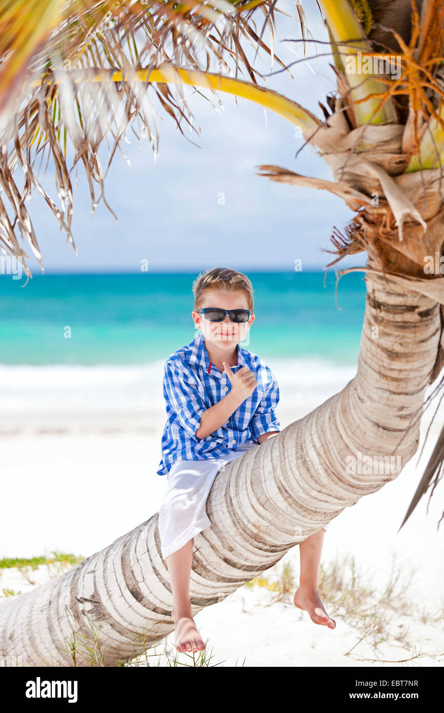 Boy on palm tree hi-res stock photography and images - Alamy