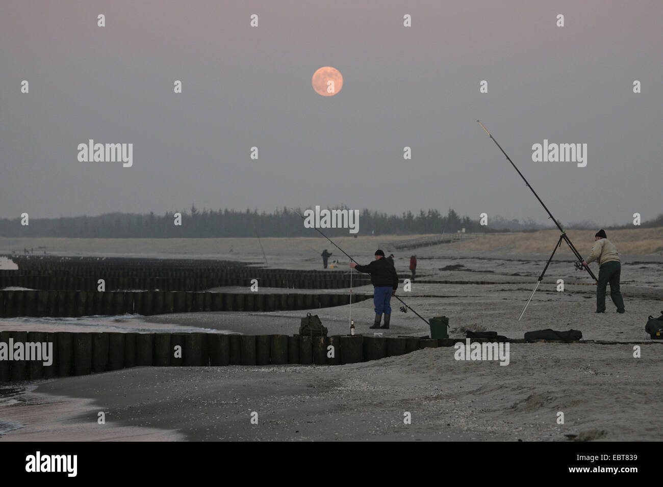 surfcaster on the beach at full moon, Germany, Ahrenshoop Stock Photo ...