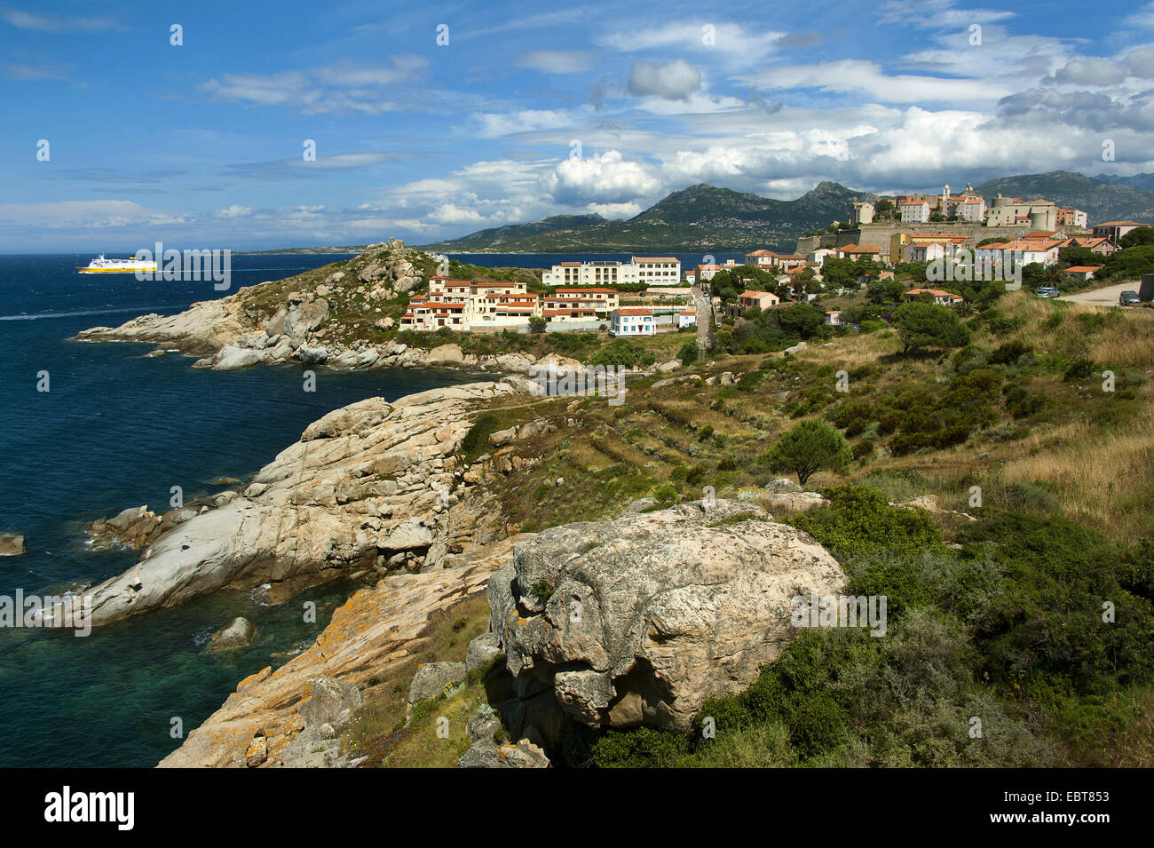 rocky coast scenery, France, Corsica, Calvi Stock Photo - Alamy