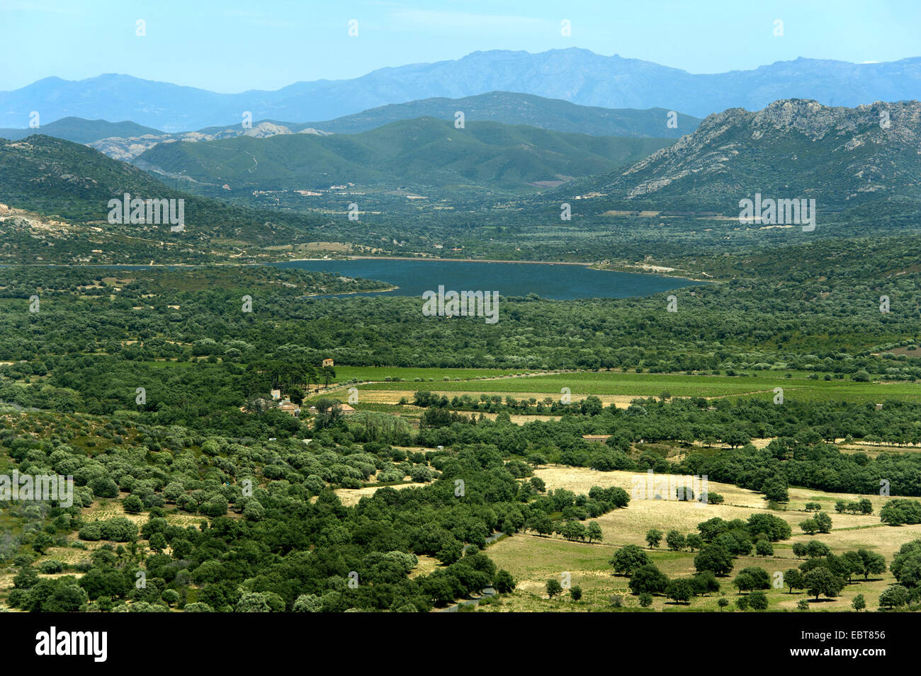 view to Lac de Codole, France, Corsica Stock Photo - Alamy