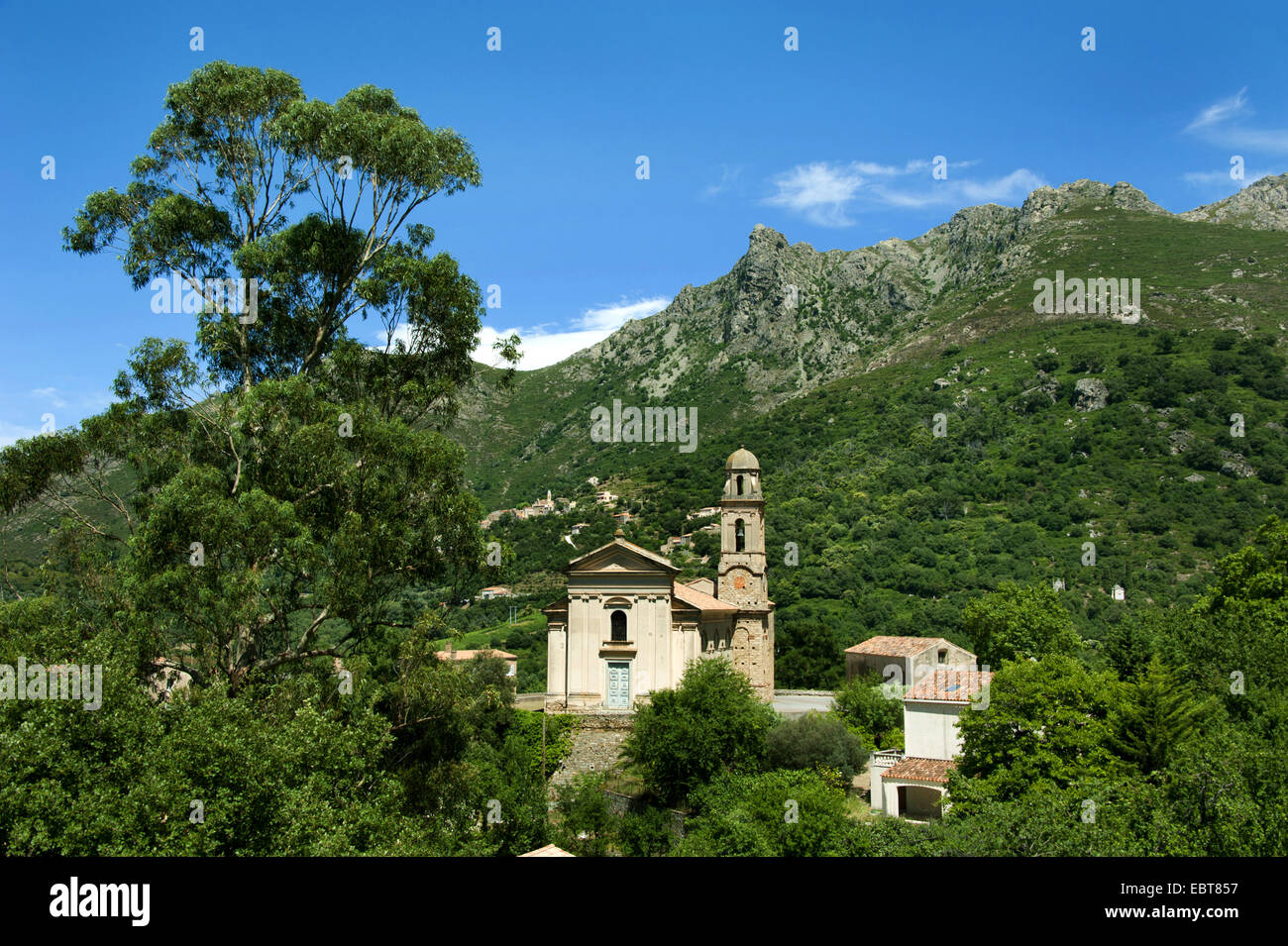 baroque church Santu Petru di Nesce, France, Corsica, Nessa, Feliceto ...