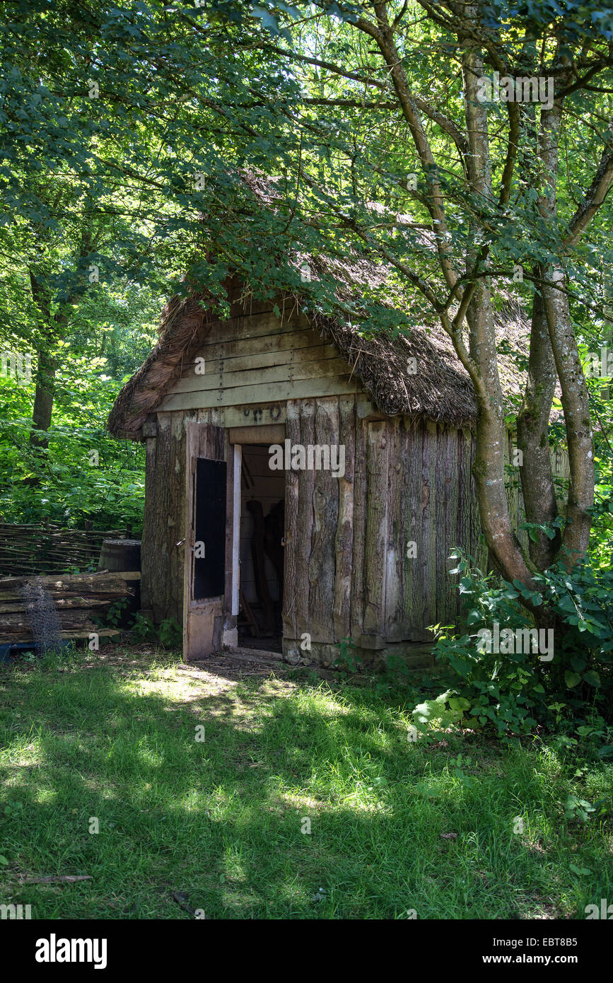 18th Century medieval woodcutters shed in forest Stock Photo - Alamy