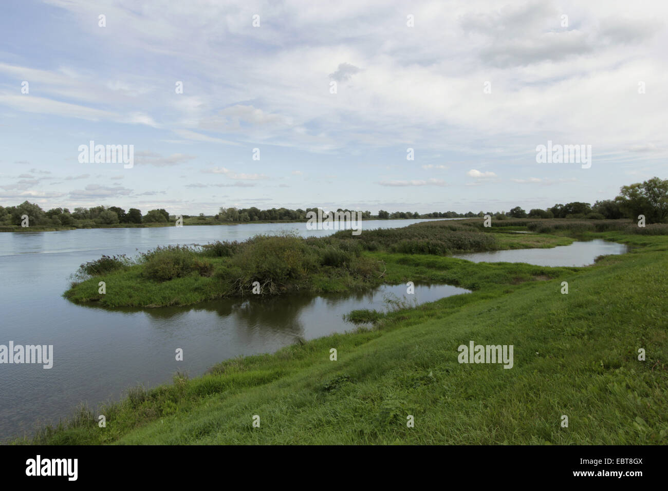At the oder river hi-res stock photography and images - Alamy