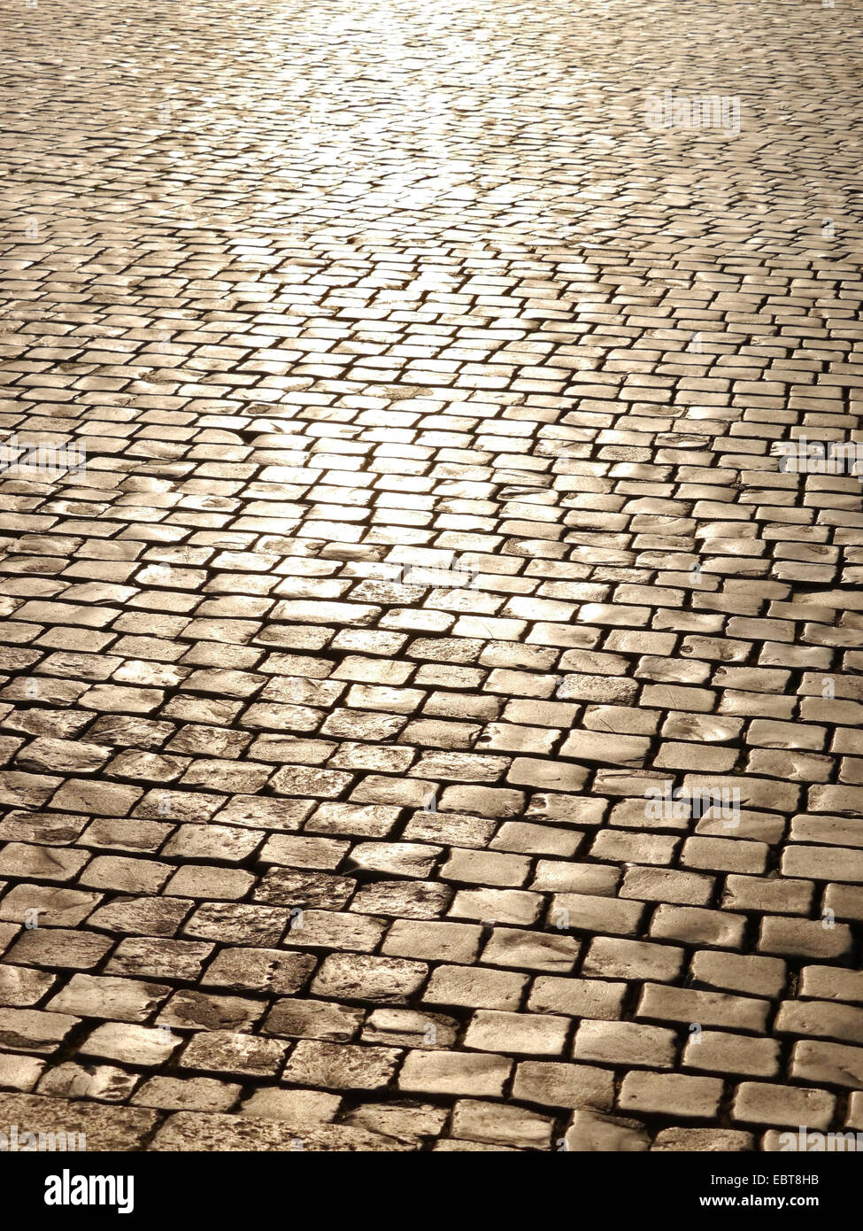 A cobbled street surface with strong lighting in St Peter's Square in ...