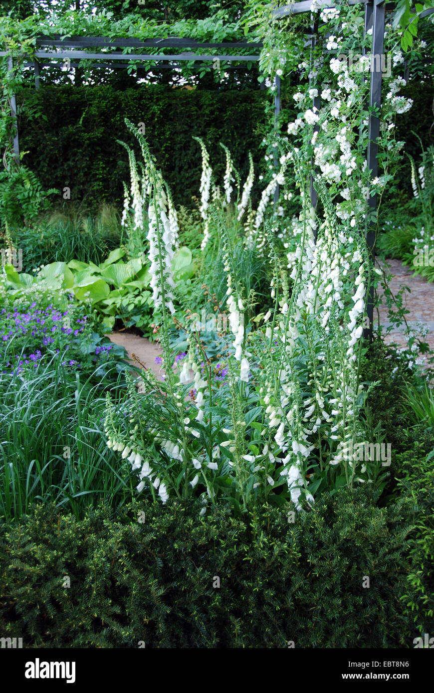 Daily telegraph garden chelsea flower hi-res stock photography and ...