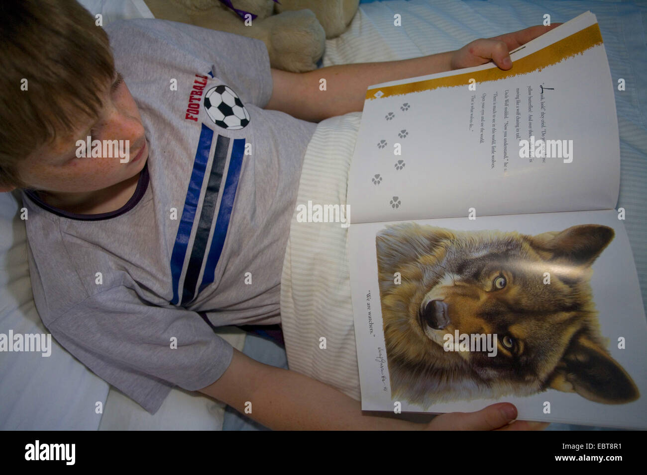 Boy reading wildlife book hi-res stock photography and images - Alamy