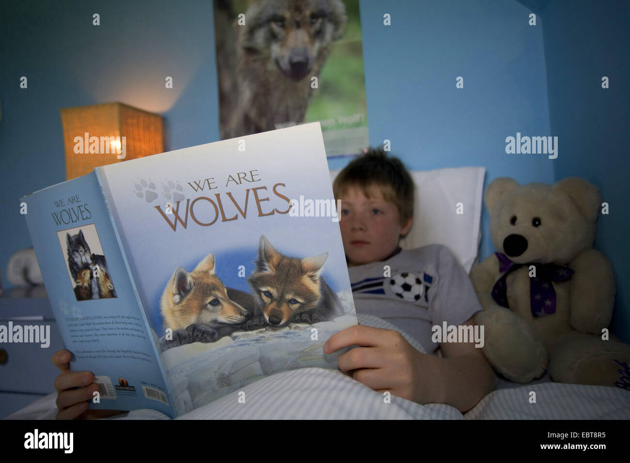 Children studying animals hi-res stock photography and images - Alamy