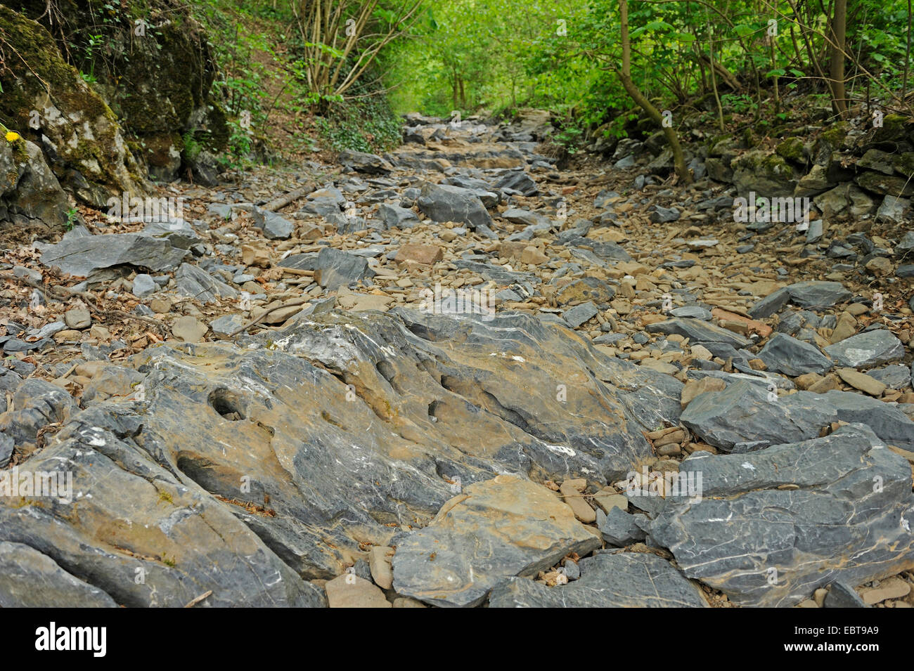 Dried out creeks hi-res stock photography and images - Alamy