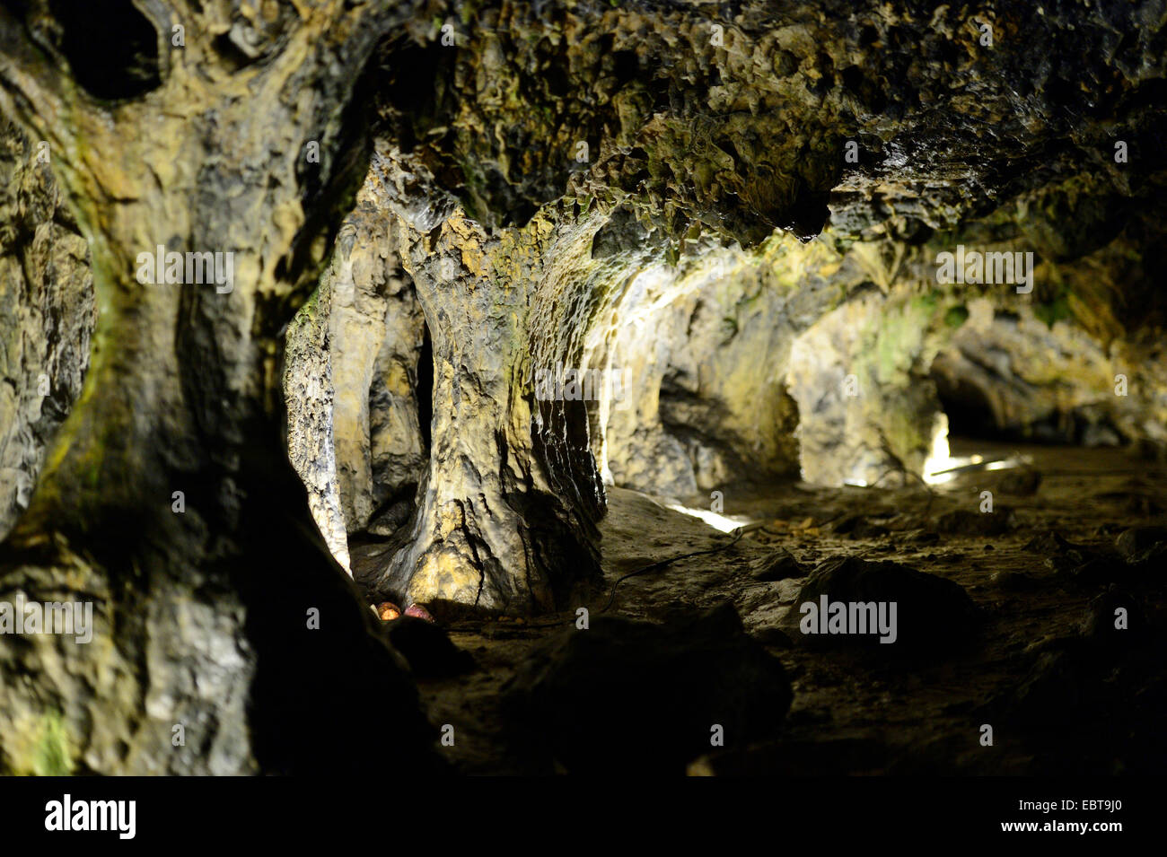 Otto cave hi-res stock photography and images - Alamy