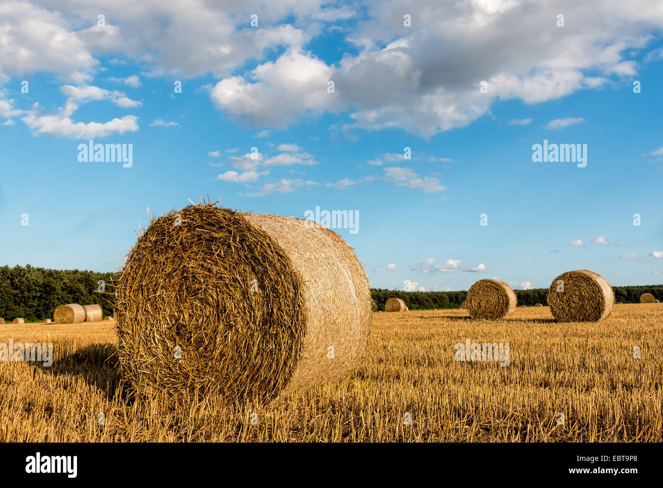 Straw bales in the light of sunset Stock Photo - Alamy