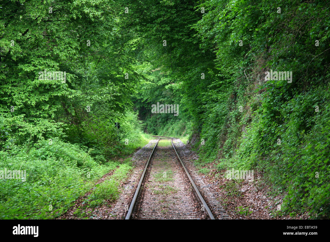 railroad tracks of old siding, Hesper Valley Railway, Germany, North ...