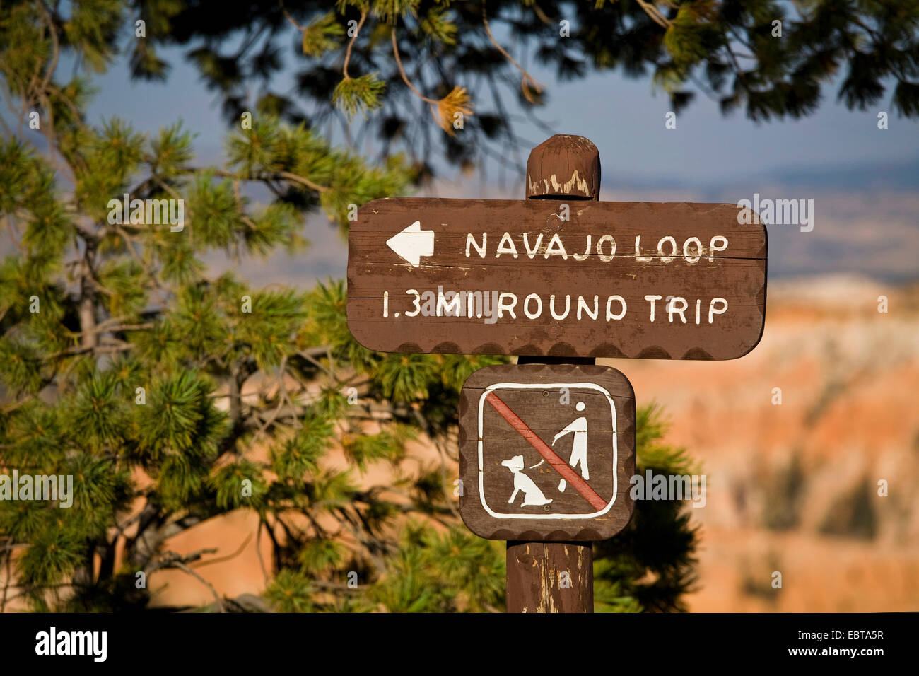 Navajo Loop Trail information sign and dogs prohibited sign, USA, Utah ...