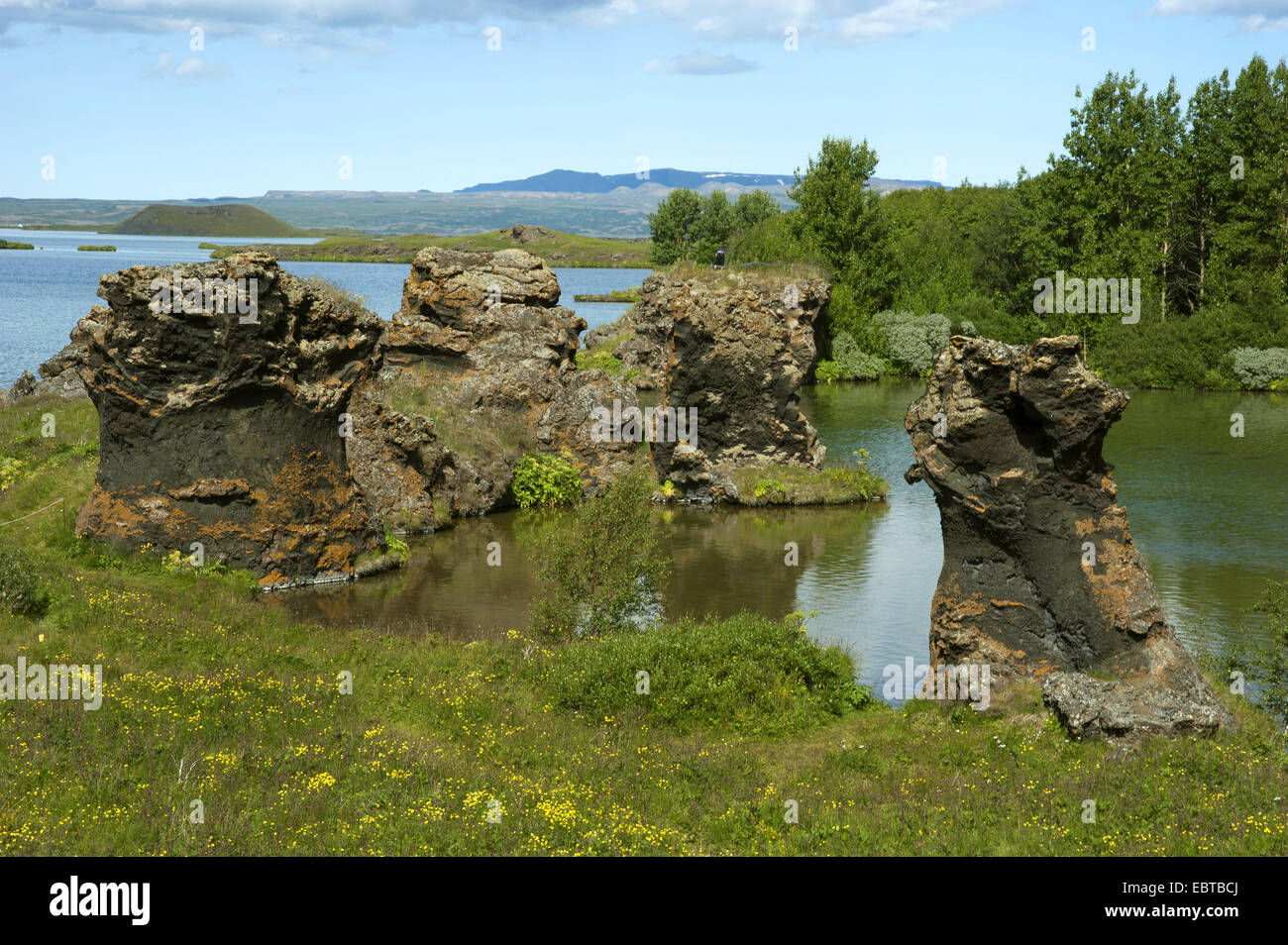 Iceland lava rock hi-res stock photography and images - Alamy