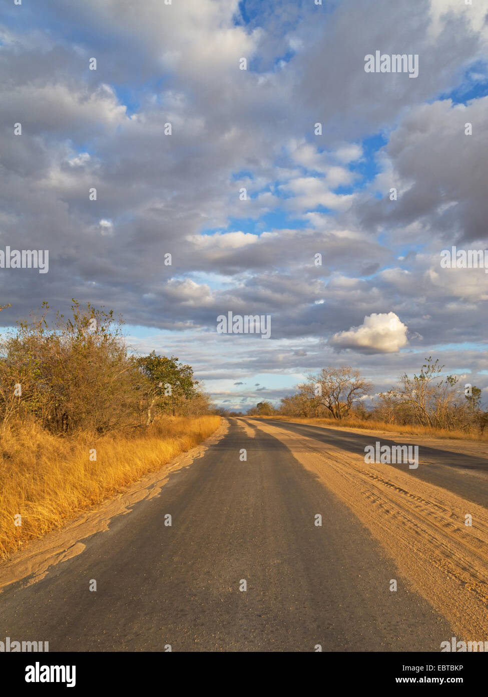 country road in savanna, South Africa, Krueger National Park, Lower ...
