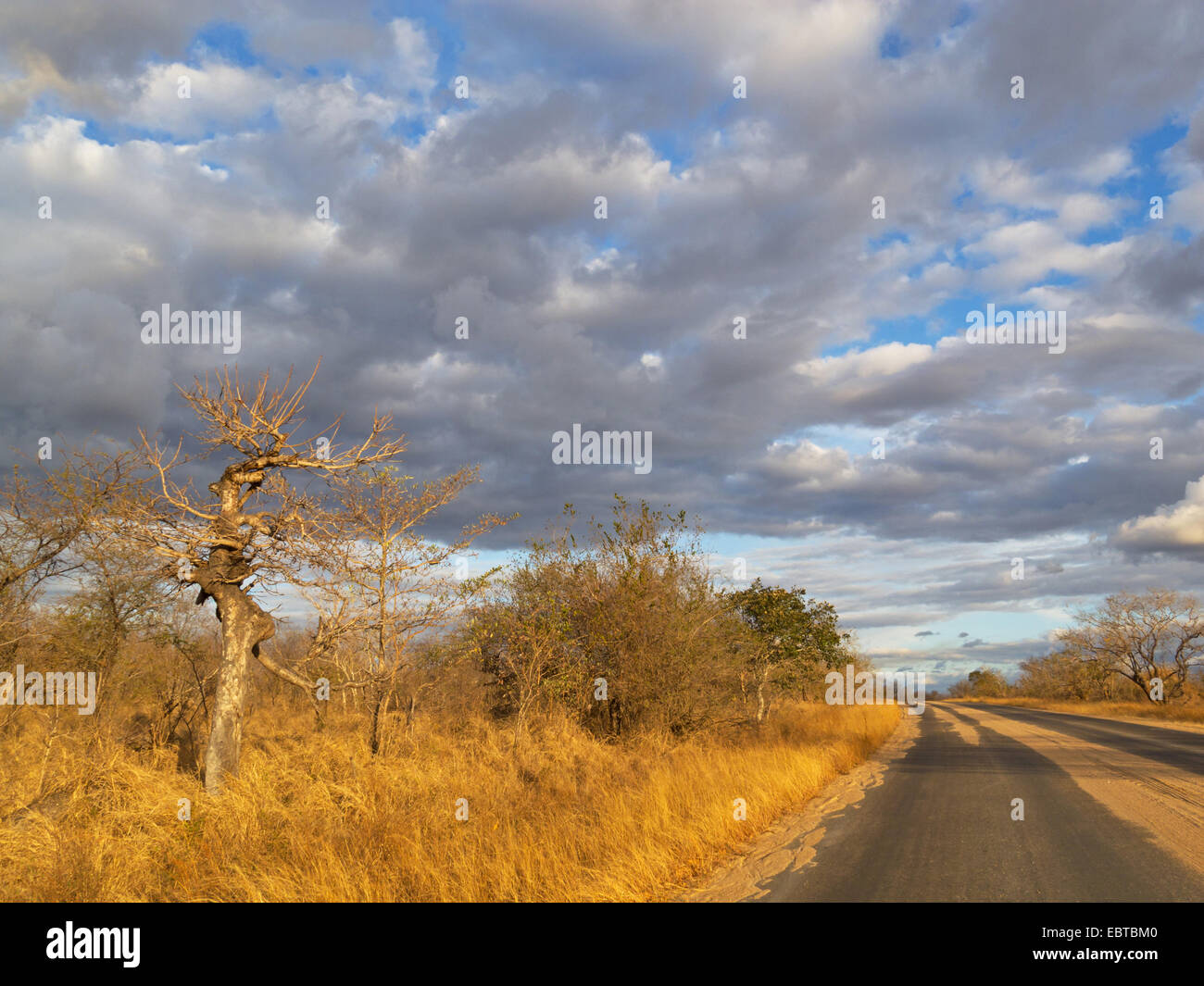 South africa infrastructure hi-res stock photography and images - Alamy