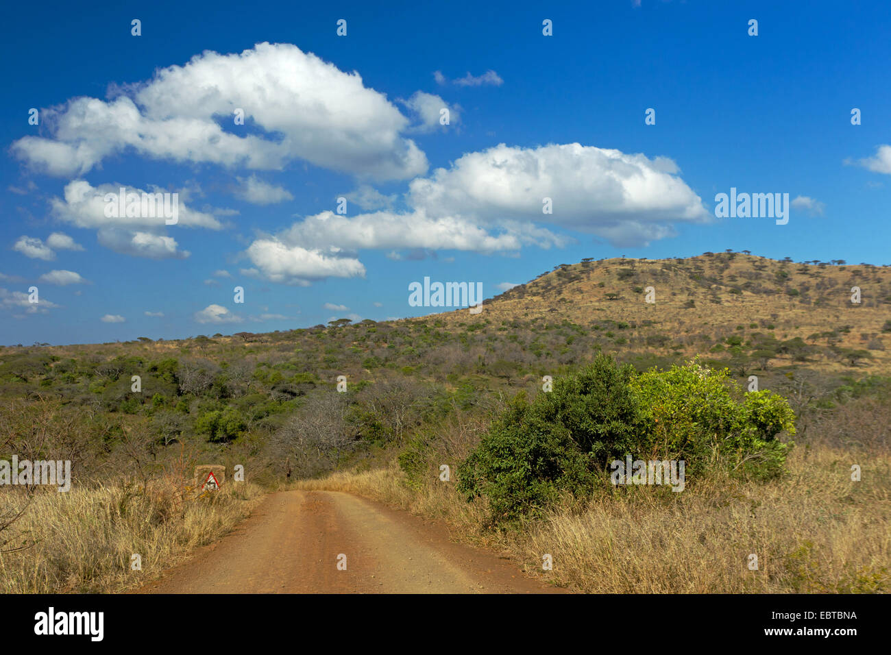 Savanna trail hi-res stock photography and images - Alamy