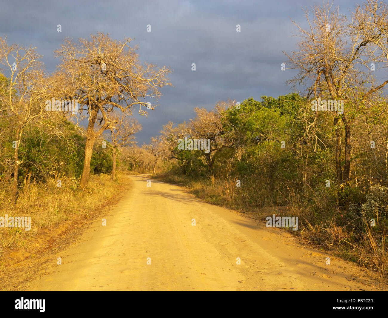Unpaved road hi-res stock photography and images - Alamy