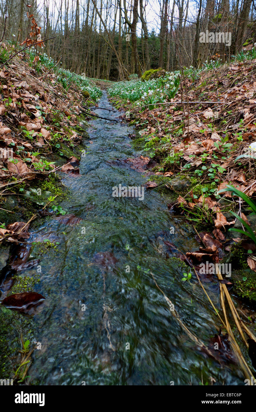Canalised streambed hi-res stock photography and images - Alamy