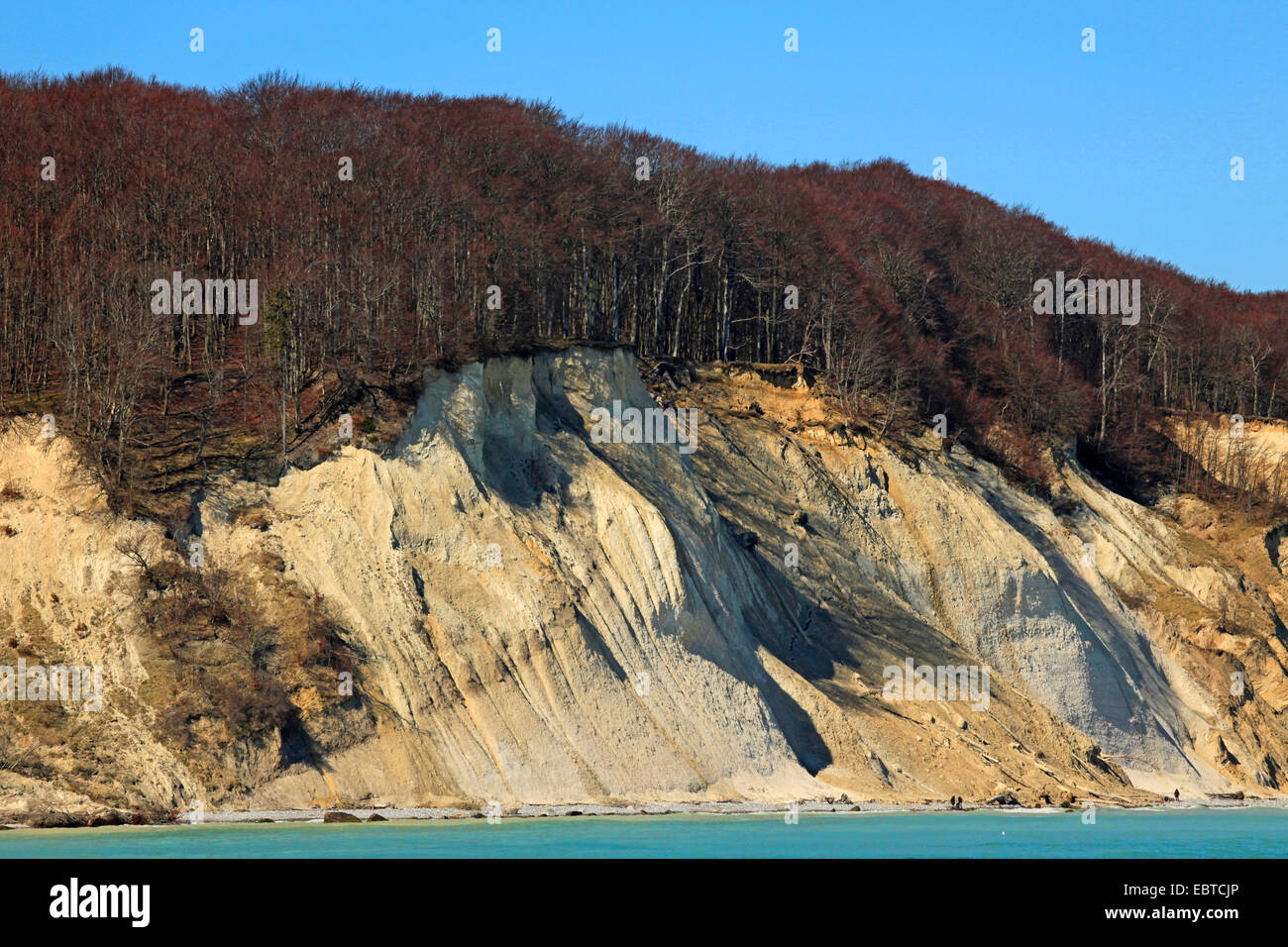 view from the sea at the steep coast with the famous chalk cliffs and ...