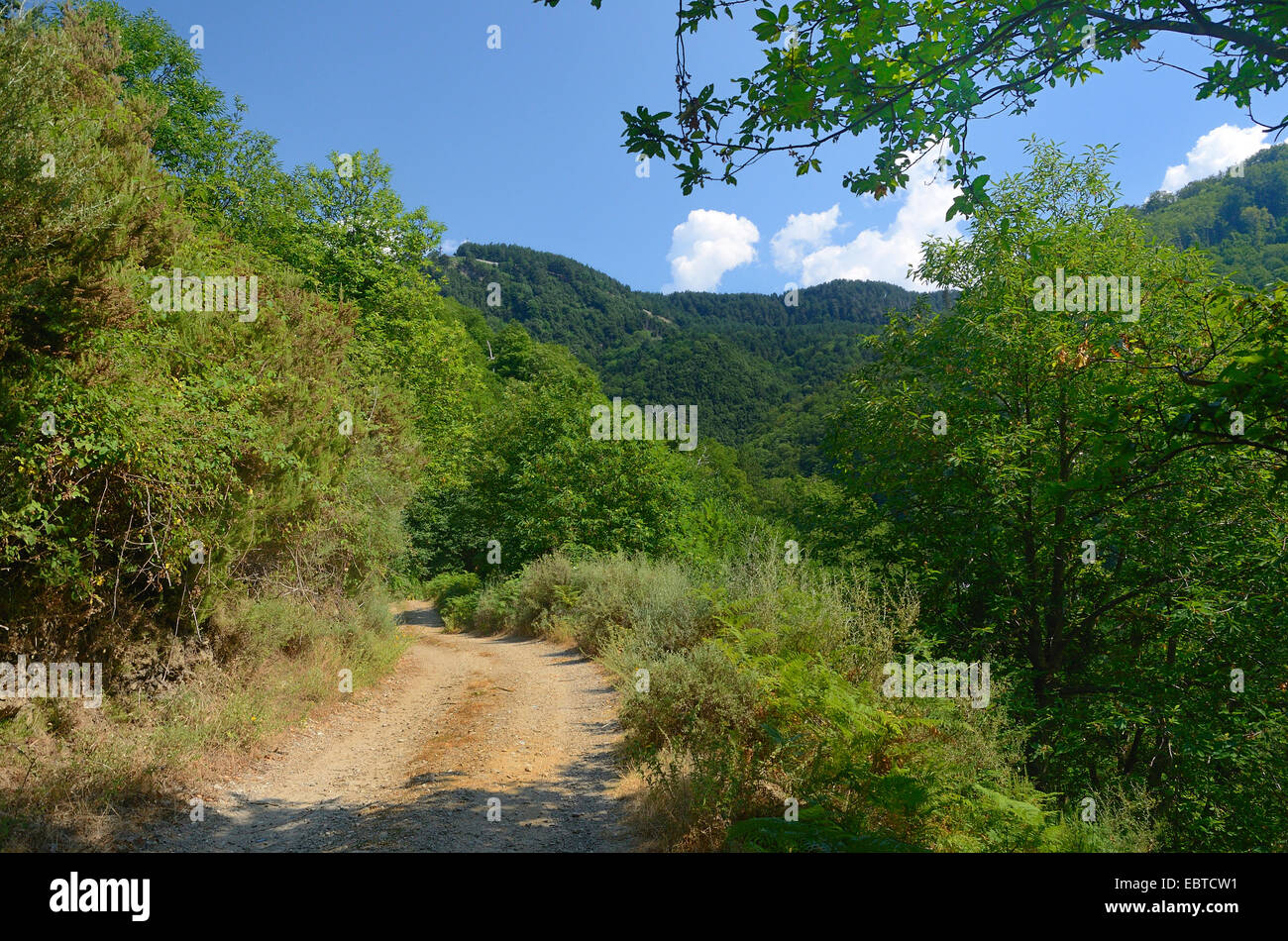 Aspromonte mountains hi-res stock photography and images - Alamy