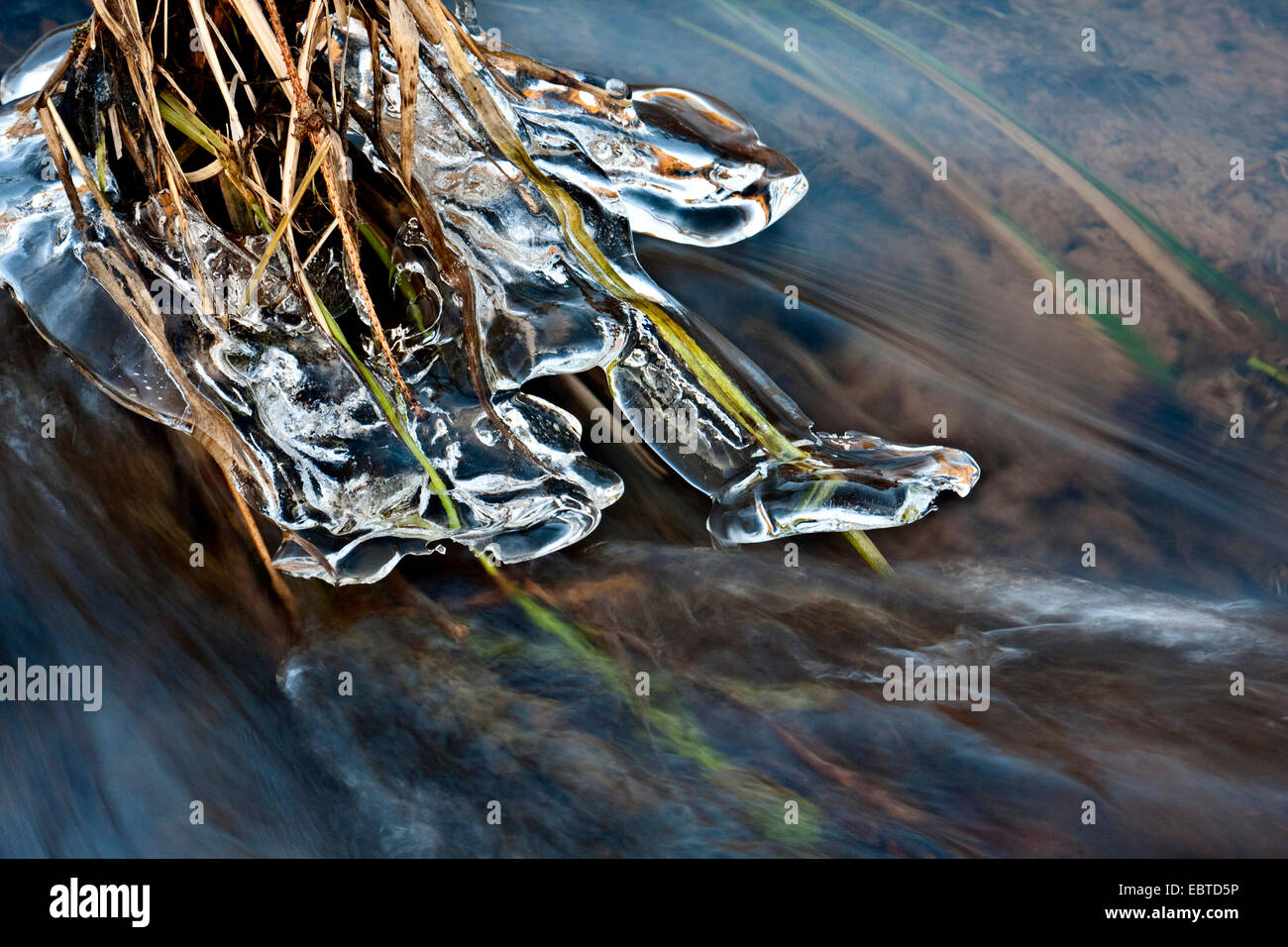 ice at grasses in a creek, Germany, Gewaesser Stock Photo - Alamy